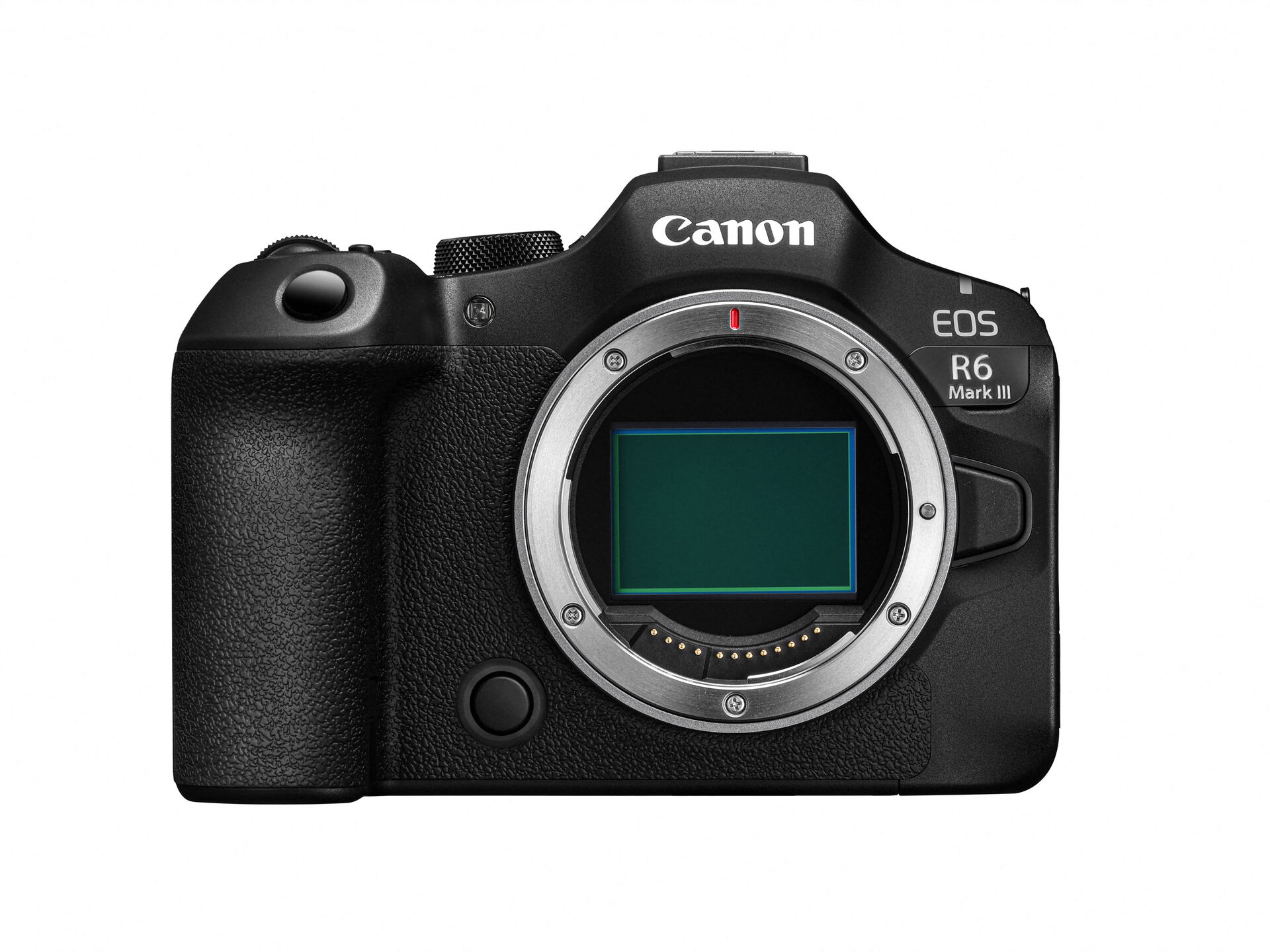 Canon EOS R6 Mark III Body | Scandinavian Photo